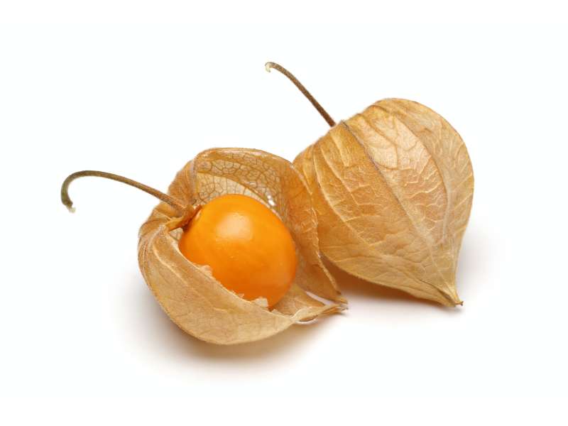 Fresh Fruit – Aurora Green Food